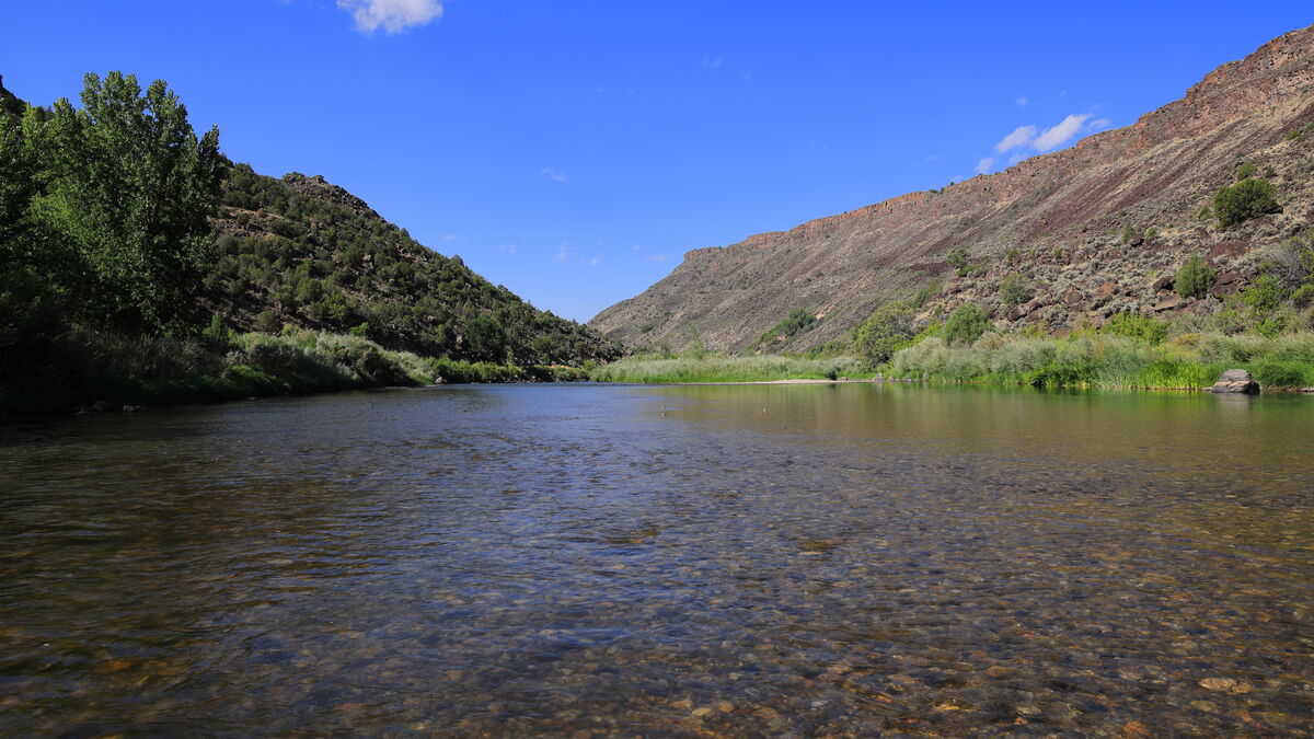 In The Middle of the Rio Grande NM: In The Middle of the Rio Grande NM...