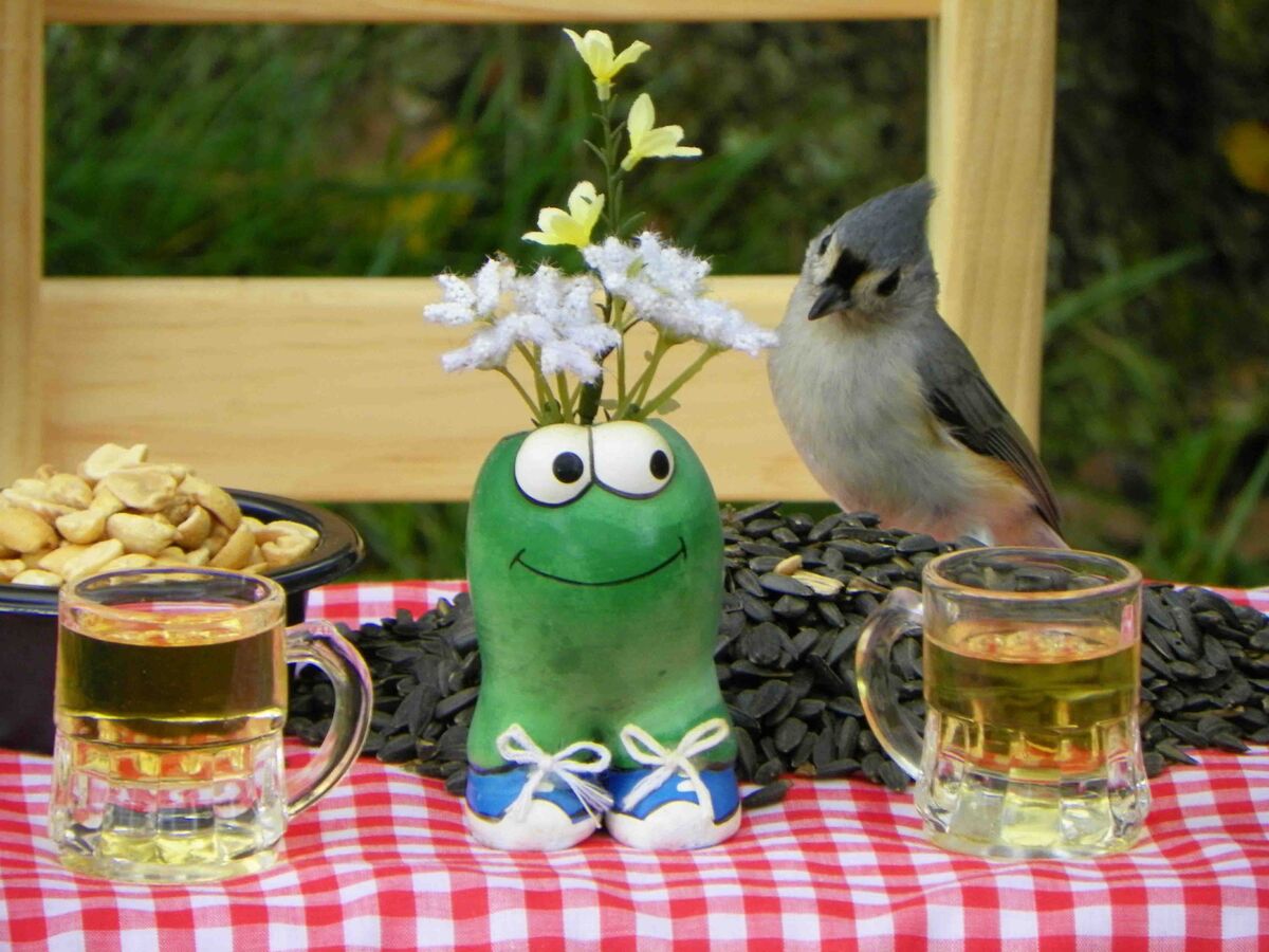 Sometimes you just feel like a cold brewski: More silly pictures from ...