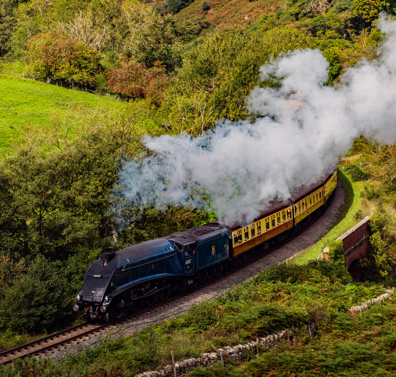 Sir Nigel Gresley 60007: Sir Nigel Gresley was a famous steam ...
