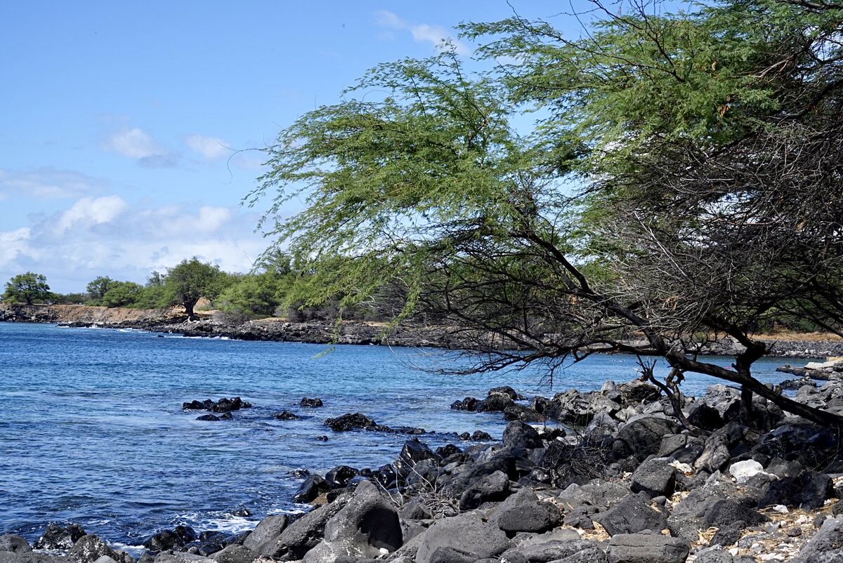 Napo’apo’o Beach Hawaii🌸💐: This is a beach area about 15 miles south of ...