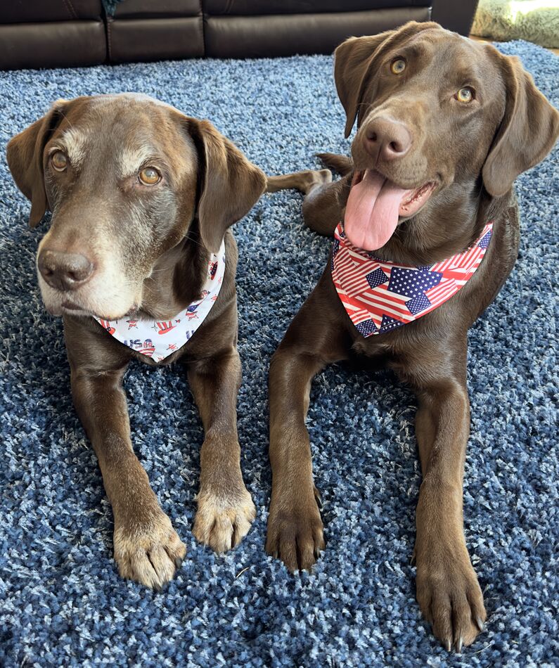 A year in review: Hello 2024 and Happy New Years to all!! 2024 was ...