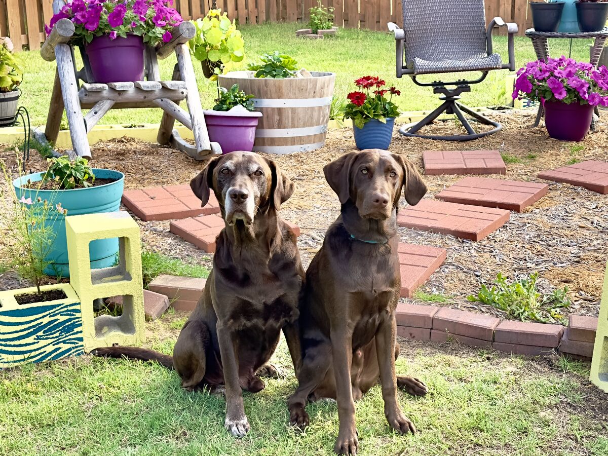 A year in review: Hello 2024 and Happy New Years to all!! 2024 was ...