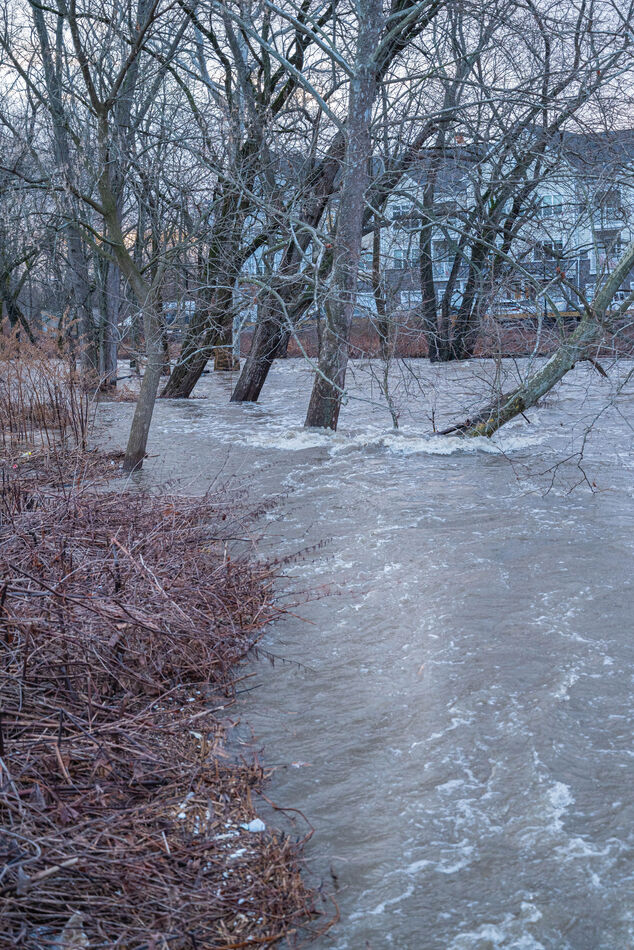 It Rained Yesterday: And we got about 5" worth of rain. I guess it ...