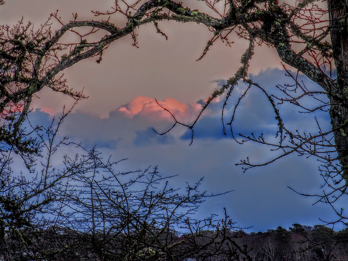 Whisp: . A whisp of the Sun's Light