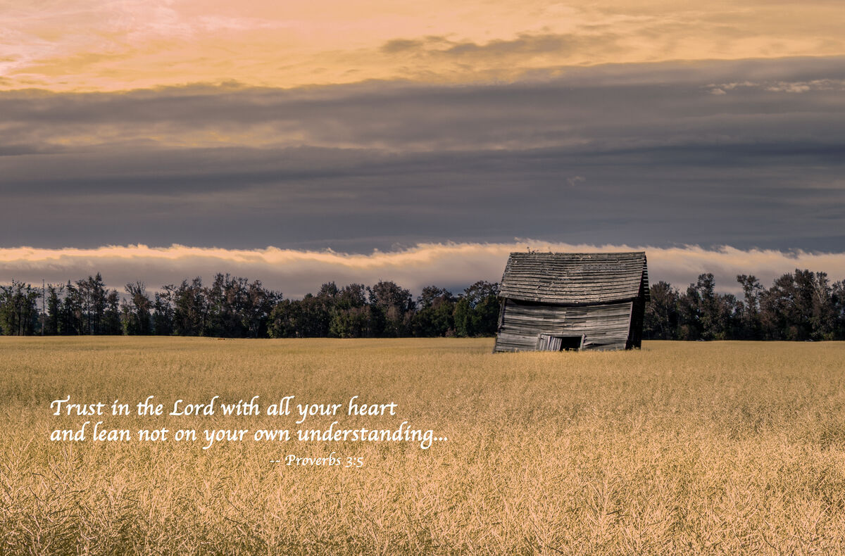 Lean on me.. God's perfect plan may sometimes seem distant and ...