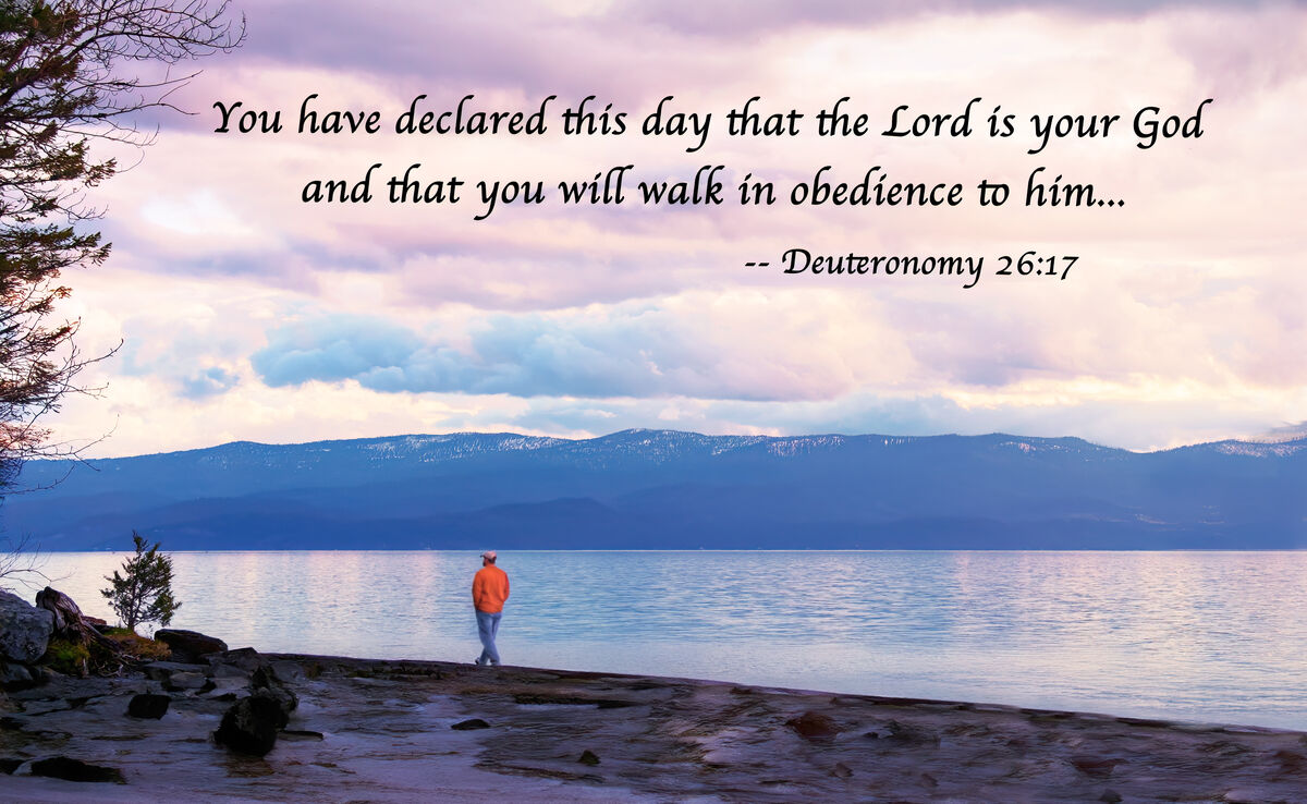 Walk in obedience.. There are numerous places in the Bible where it ...