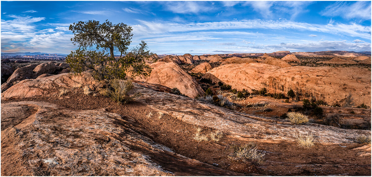 Meanwhile, On The Other Side Of Town... ....this afternoon (and evening ...