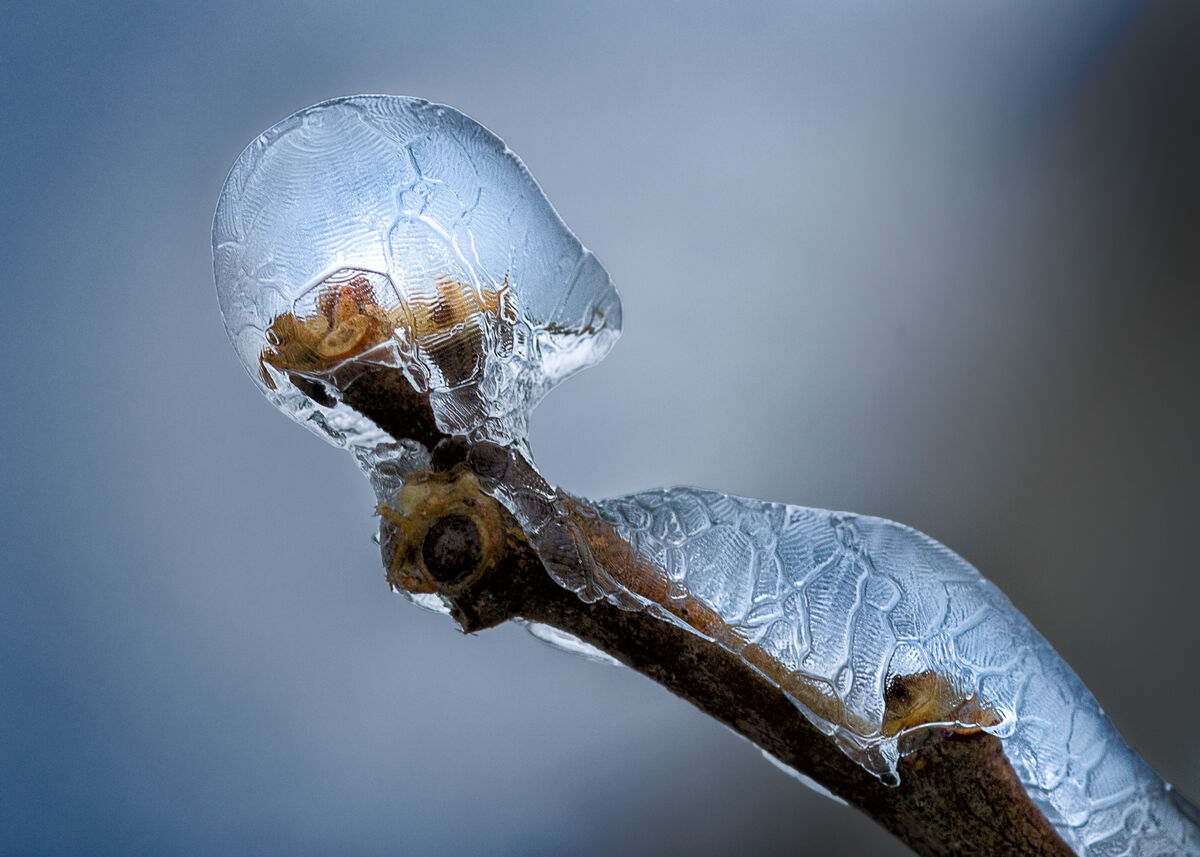 Ice textures: Went out and shot ice close ups Nikon D850, Nikon 105mm ...