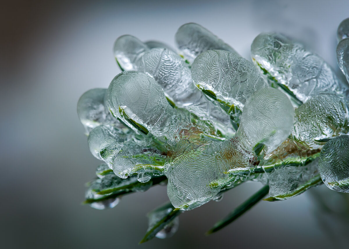 Ice textures: Went out and shot ice close ups Nikon D850, Nikon 105mm ...
