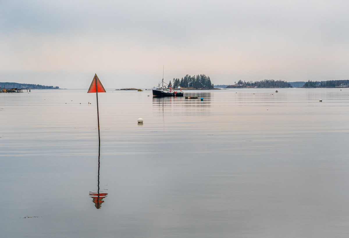 "Reflections" (Page 10): Thank you Patography!