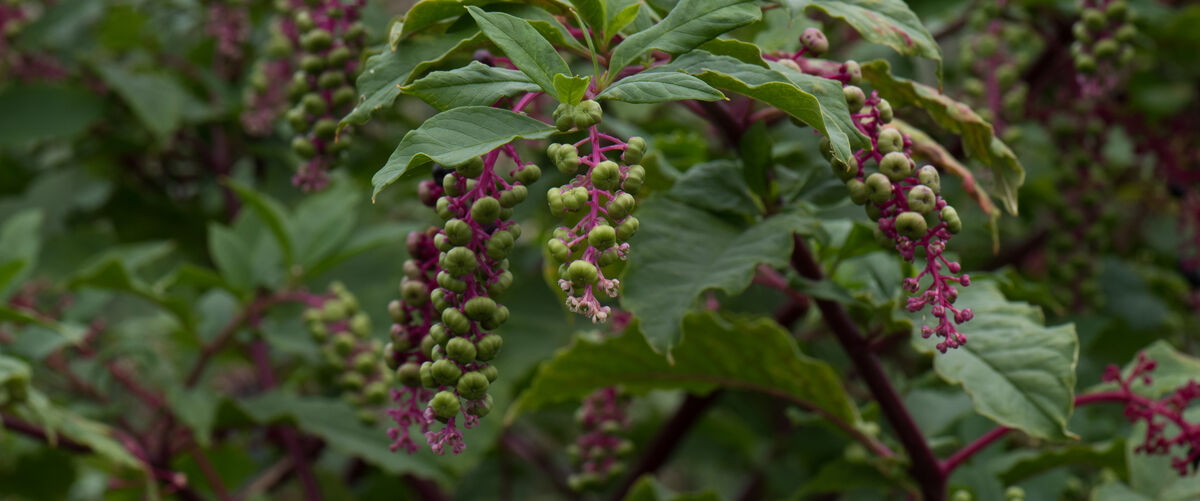 On The Roadside: A couple miles from home in 2022. Thought I posted ...