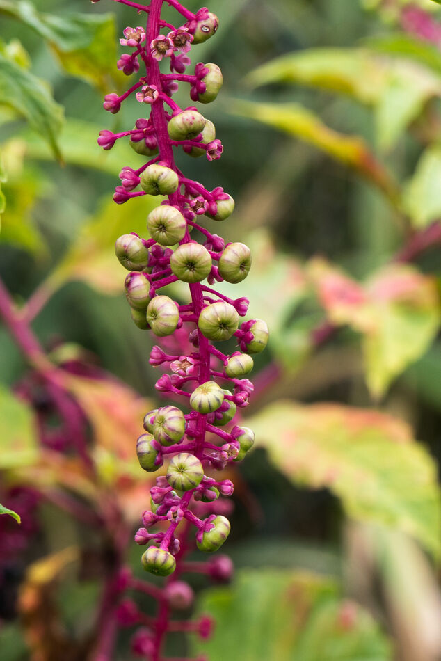 On The Roadside: A couple miles from home in 2022. Thought I posted ...