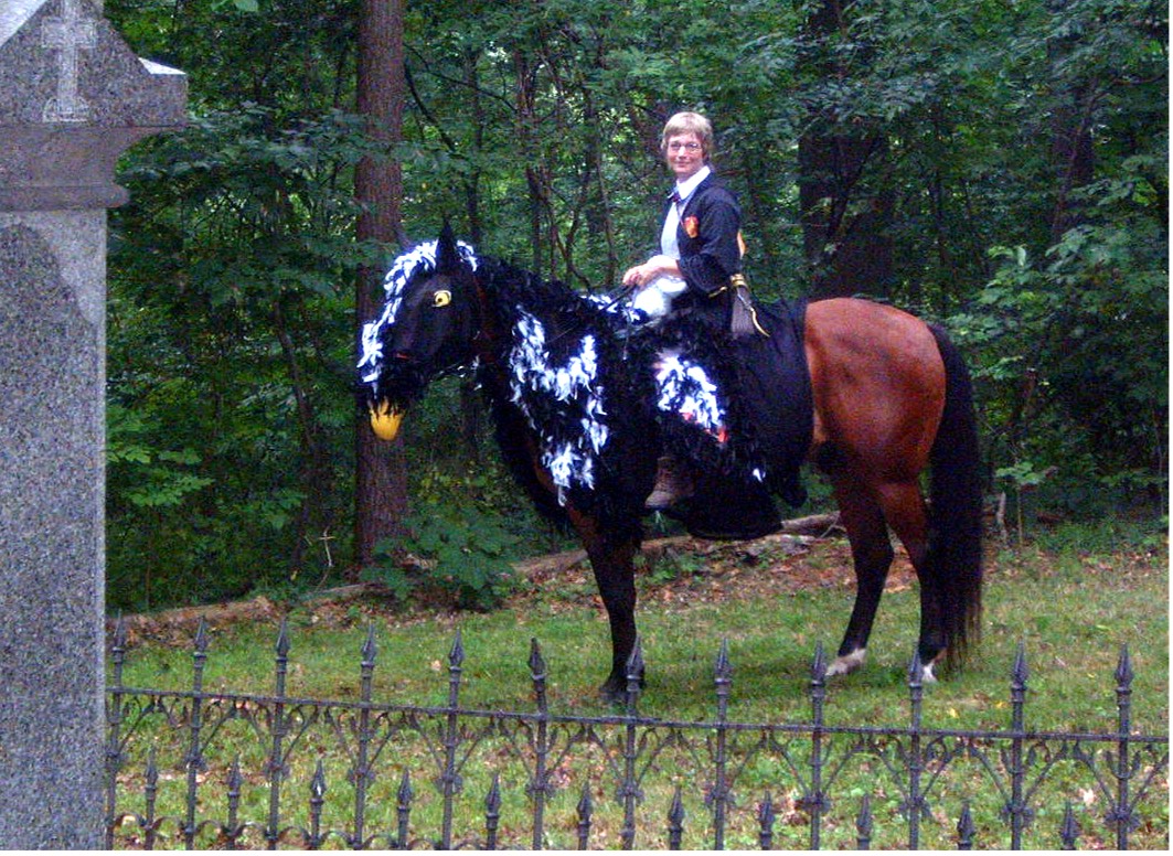 Fun with My Equine Buddies: Viewer Alert!! Viewer Alert!! These are not ...