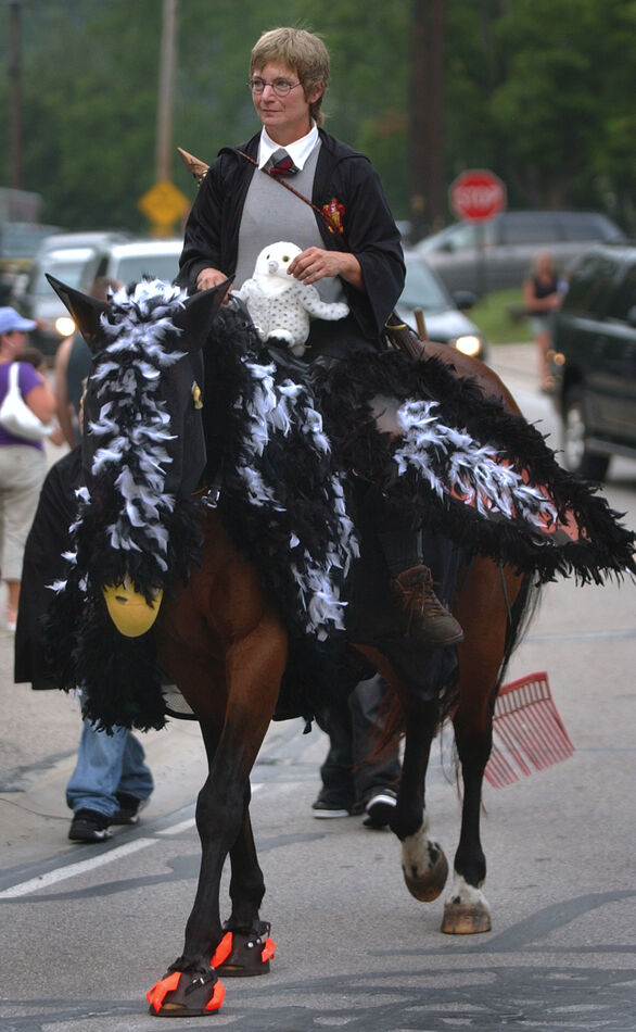 Fun with My Equine Buddies: Viewer Alert!! Viewer Alert!! These are not ...