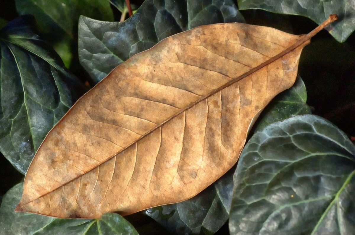 Interesting Textures: Use your imagination to touch and absorb the ...