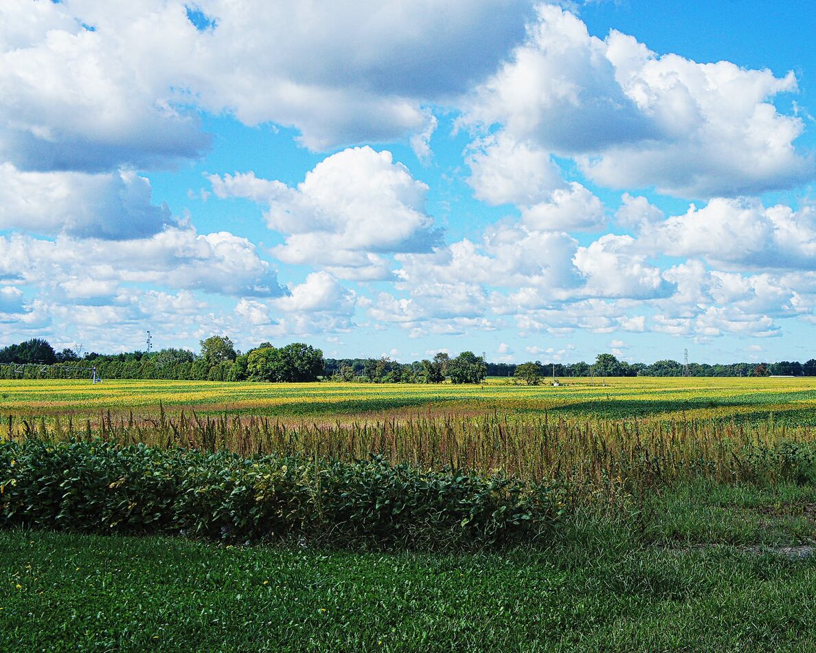 Gorgeous!!! Yes-siree 😍😍😍...