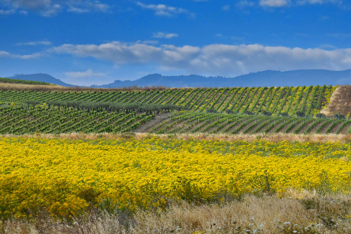 Sicily: The Ride North To Palermo - Landscapes Part 7: More beautiful ...