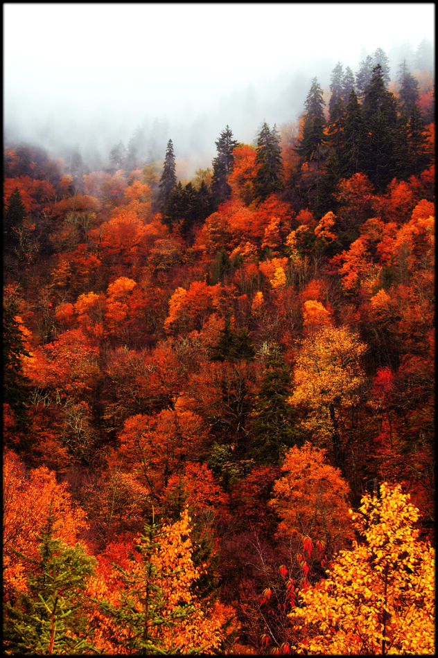 Autumn splendor: Autumn is a very colorful season in many states. I ...