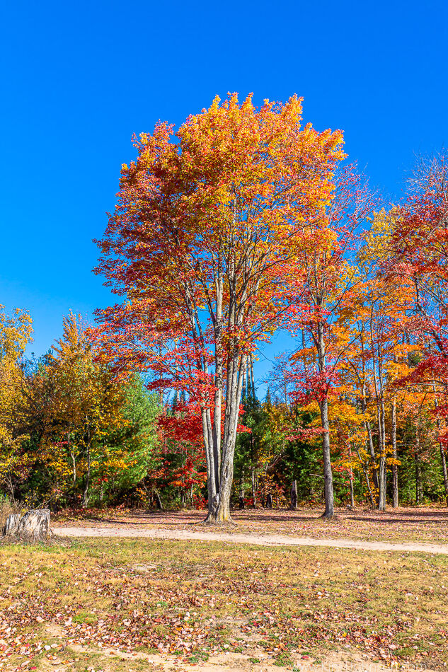 Decheau Lake: Atlanta, Michigan...