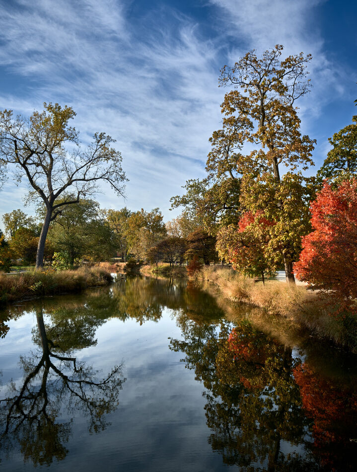 Autumn in the Park: It's taken till nearly November to get some color ...