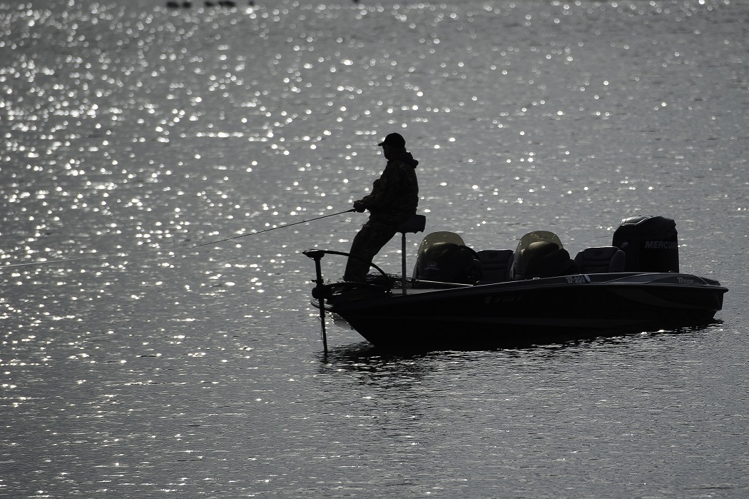 Challenge: Backlit images (Page 22): Back lit images