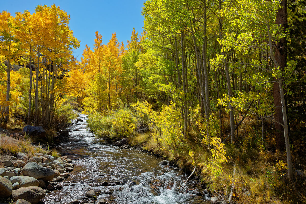 Fall in the Sierras: From a cozy little spot along the south fork of ...