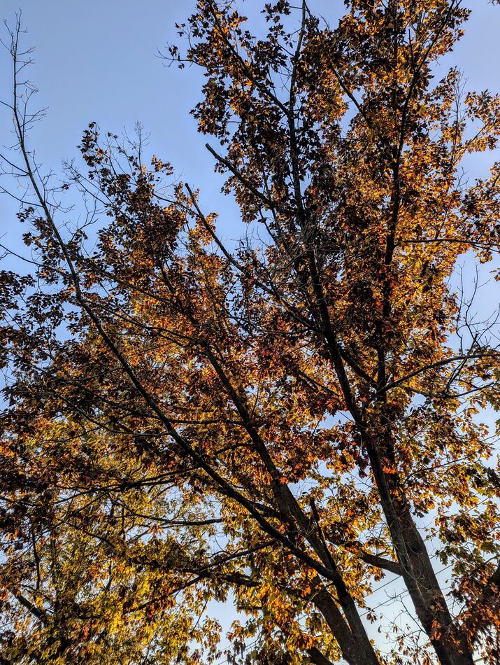 Sunday: Typical Fall 🤩🤩🤩...