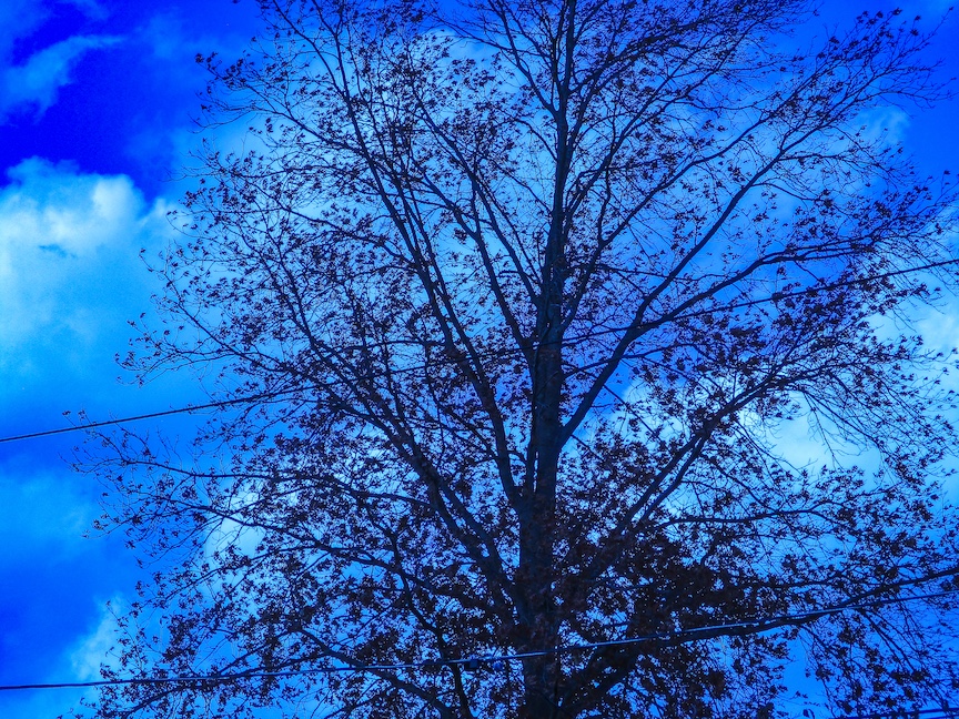 Kolari Vision 6: Kolari Vision photo 6 with full spectrum (no filter ...