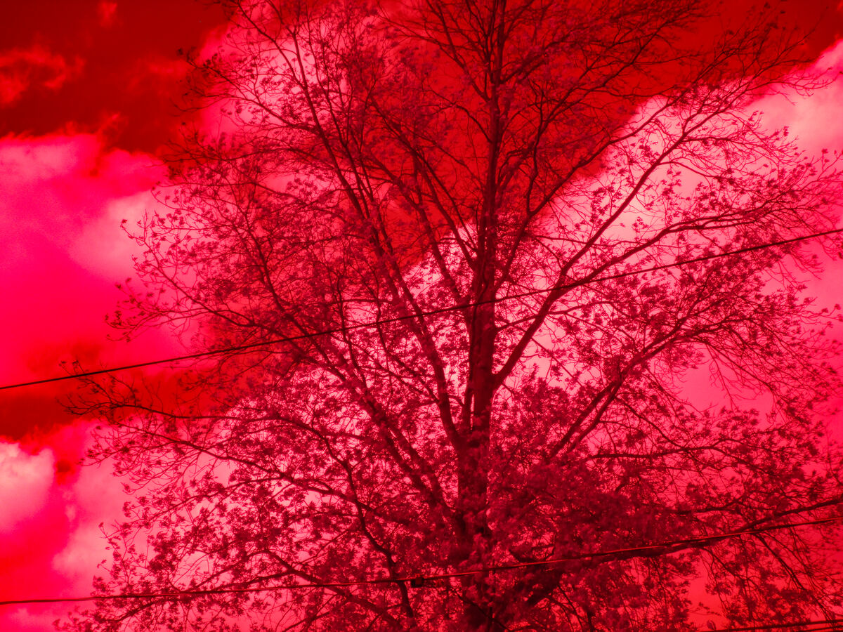 Kolari Vision 6: Kolari Vision photo 6 with full spectrum (no filter), plus K590, K720, Hot ...