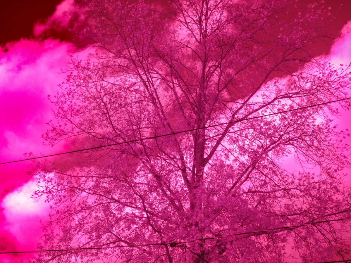 Kolari Vision 6: Kolari Vision photo 6 with full spectrum (no filter), plus K590, K720, Hot ...