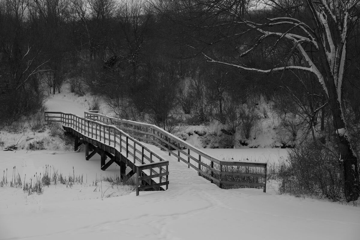 Foot Bridge in Winter: Took this back in 2019 at Yellowsmoke state park ...
