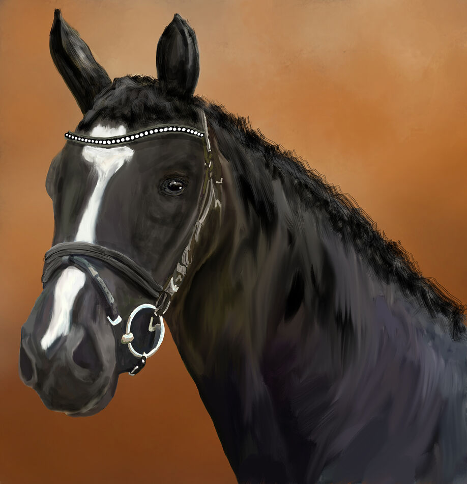 Digital Artistry - Horse Portrait Paintings: It's been a while since I ...