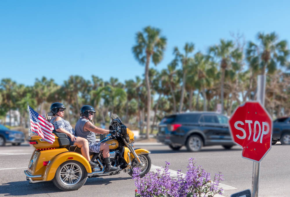 Siesta Key sight(seer): I have no comment; I find the image amusing ...
