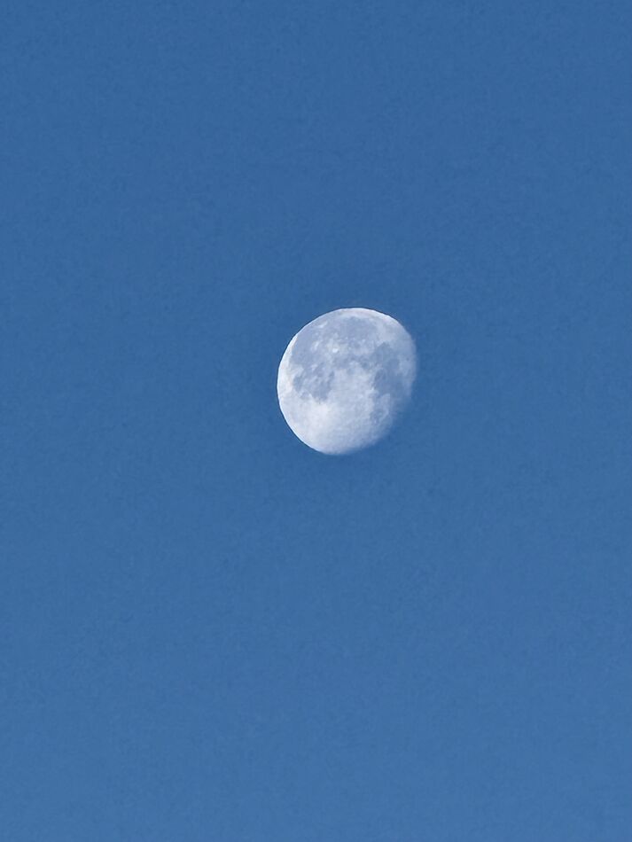 High Moon: The sky was absolutely clear this morning and the moon was ...
