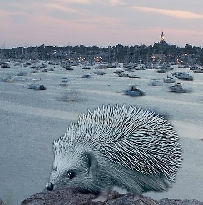 Invasion of the Hedgehogs: Practicing with composites. Thank you to my ...