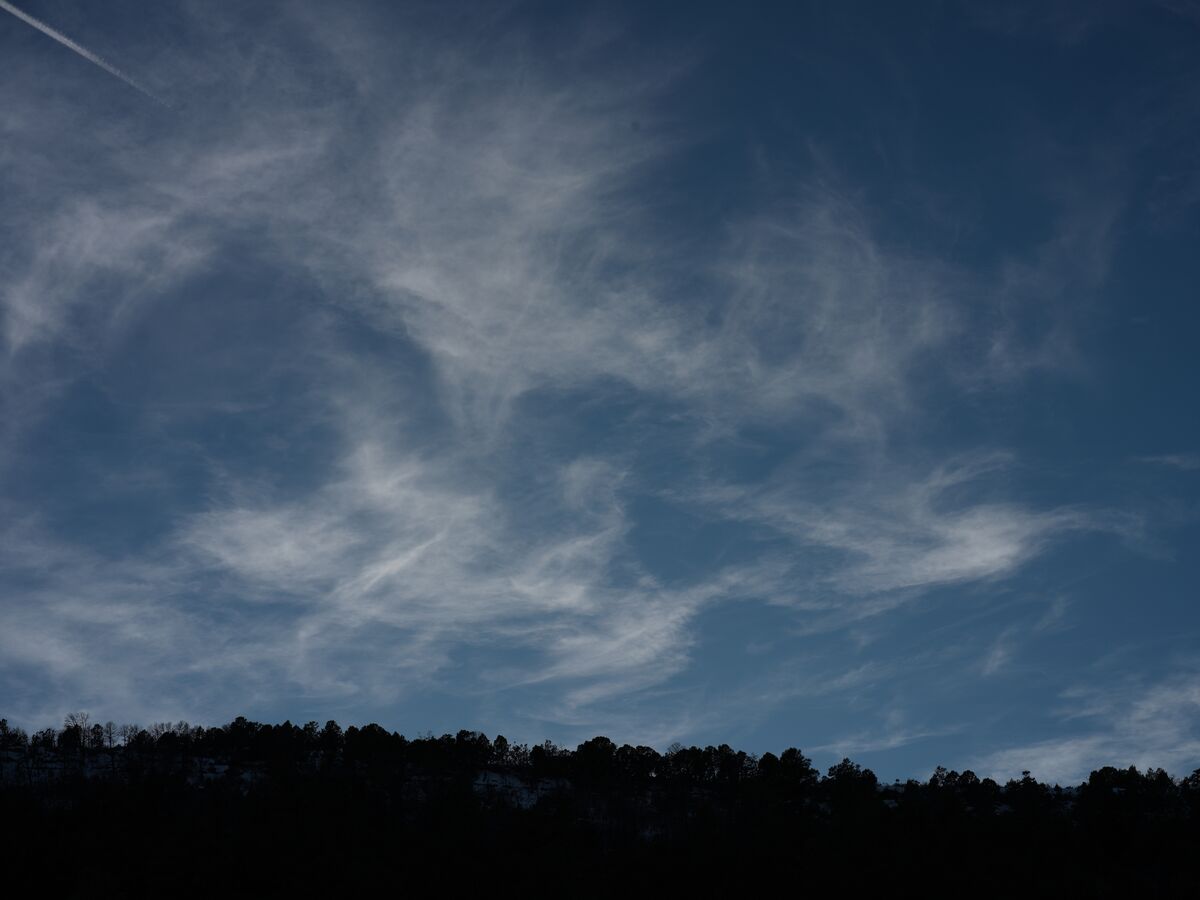 A Mix: The last is with my cell phone today. My pup statue finally emerged from his hibernation ...