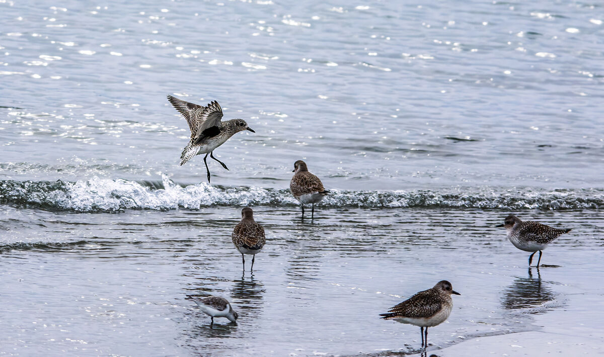 Peeps: These guys were having a good time...