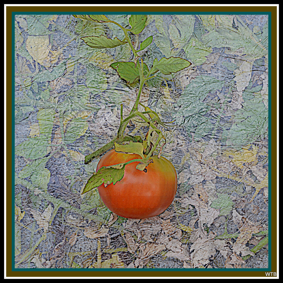 Well ... I Just Saw Something (Page 23):