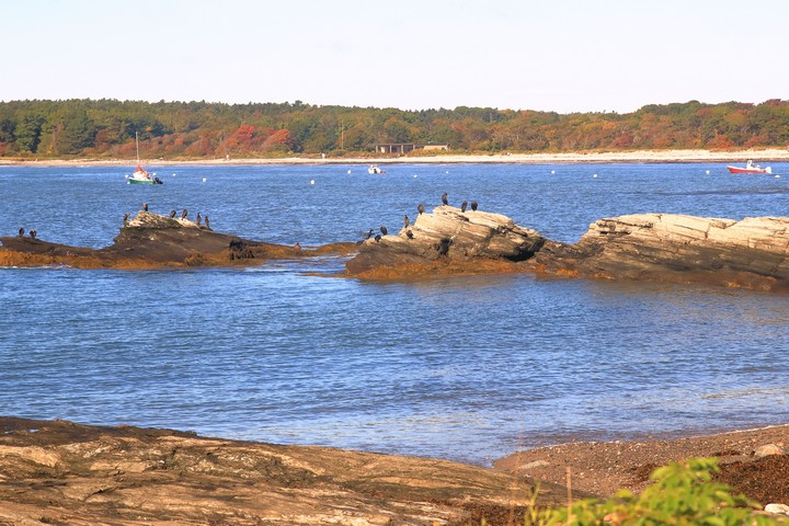 Maine Meander Series: Just wandering around Kettle Cove park, a few ...
