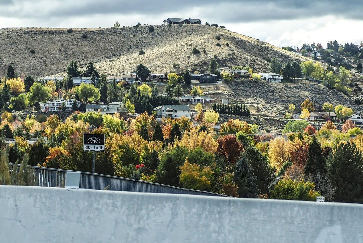 Entrances into fall: Colors are appearing in Northern Nevada with quite ...