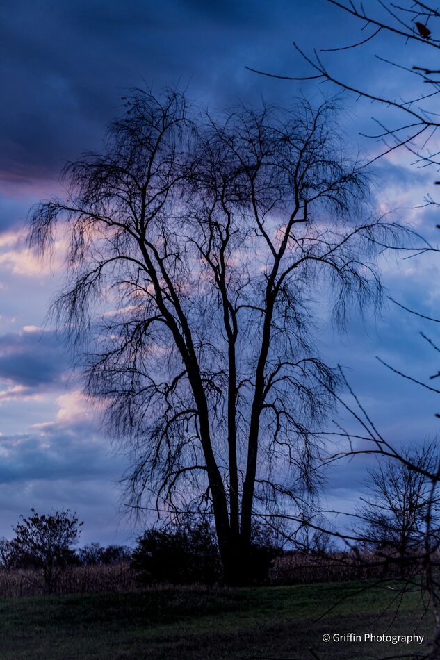 Trying to learn a little landcape photography: #1 Sky looks like a lake ...