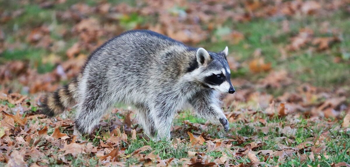 Excuse me, just passing through! As I was working with my guys up in ...