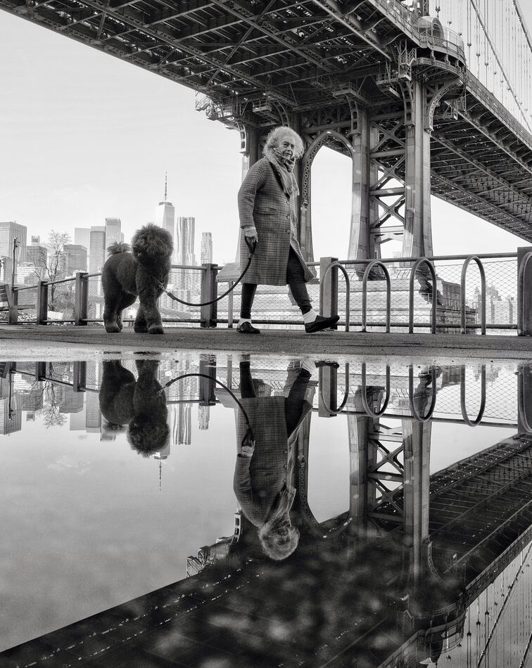 Reflection underneath the Manhattan Bridge: B&W reflection...