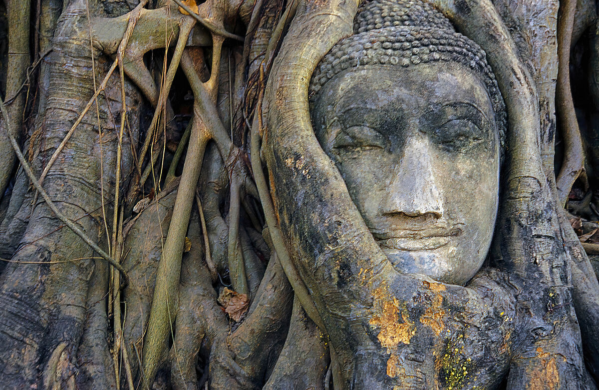 Hugging Buddha: Please download...