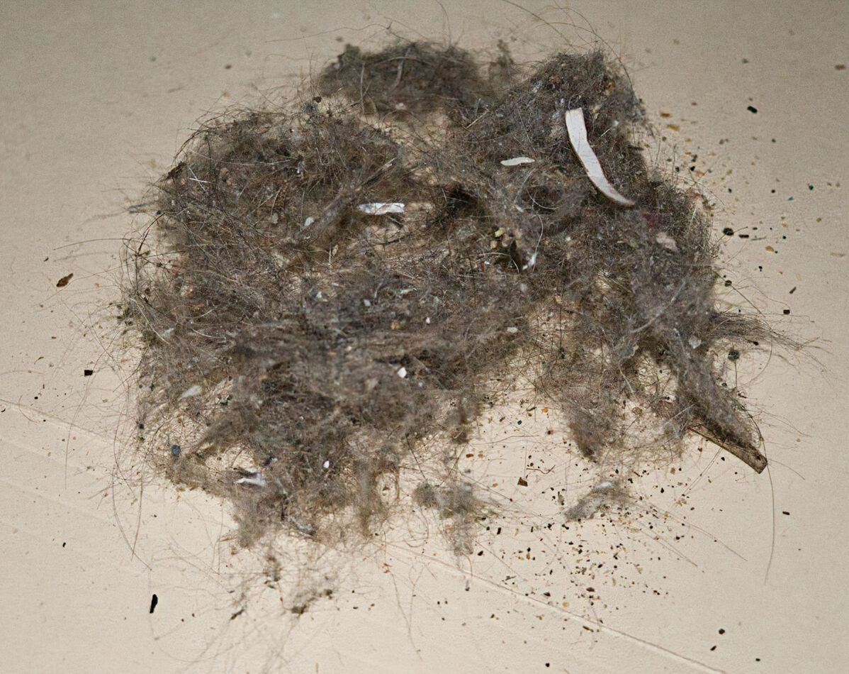 Keyboard Dirt: Here are a couple of pictures of the dirt I removed from ...