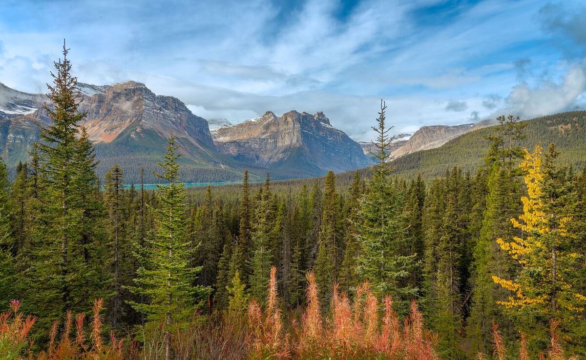 along the icefield parkway: Near Hector Lake...