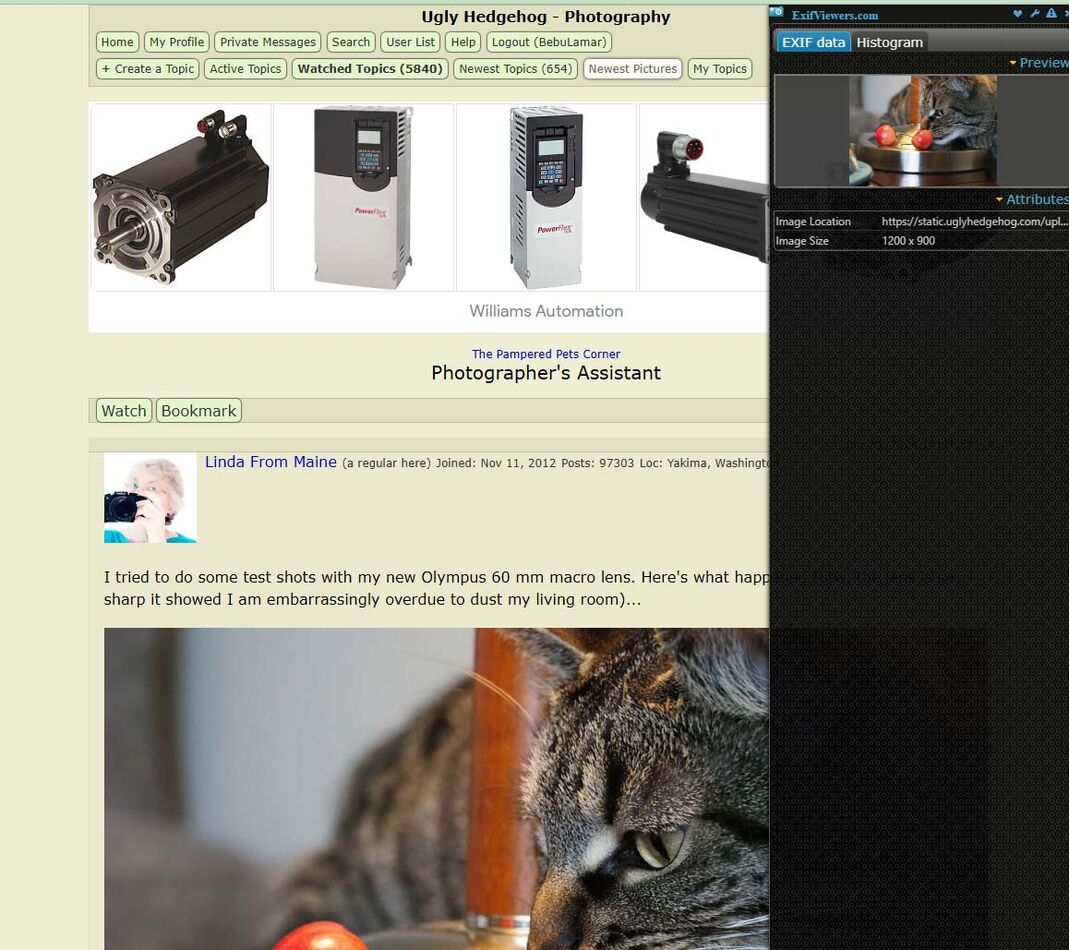 EXIF: When viewing a Photo posted on this site, is there a way to show ...