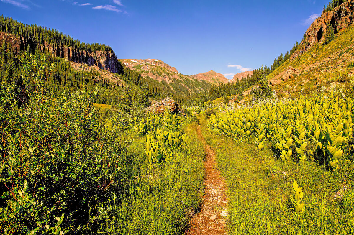 Colorado Hiking, Three Forks Trail: Pleasant walk up through the valley ...