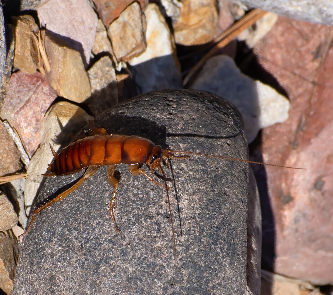 A Mixture: To help clear out my "To be posted" folder...