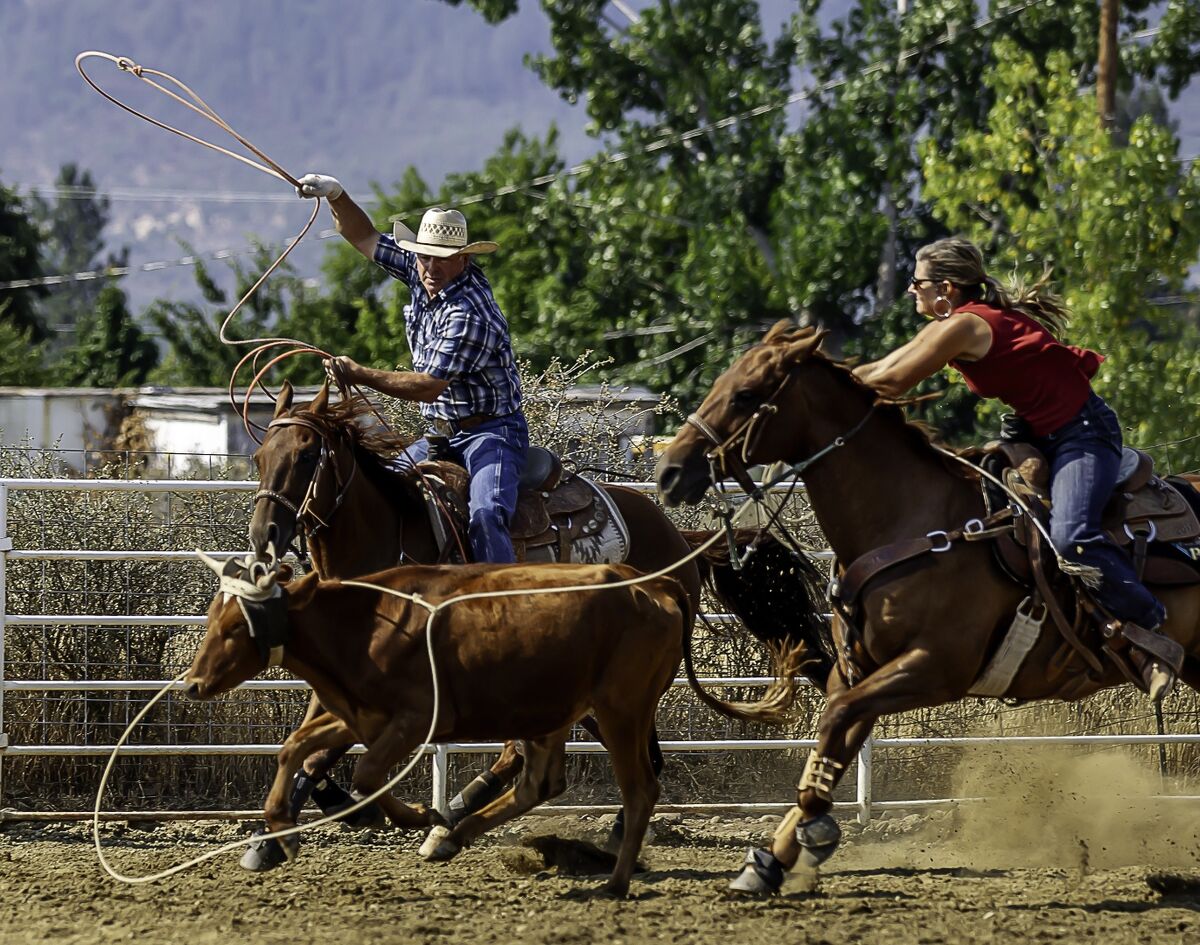 Team roping competition: Last summer I had the opportunity to ...